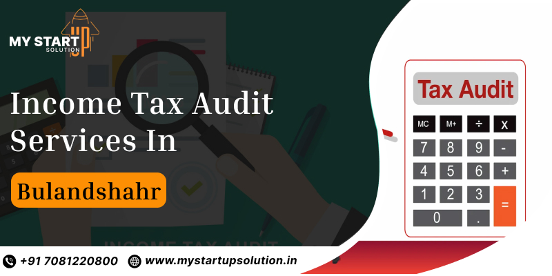 Income Tax Audit Services in Bulandshahr | My Startup Solution